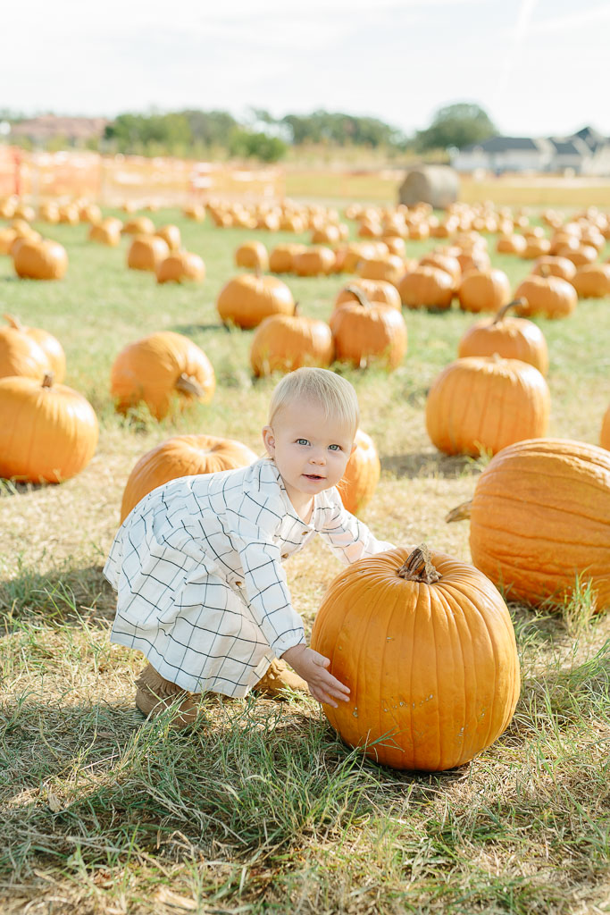 Pumpkin Patch | Liz Novi Photography Blog